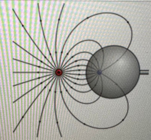 (Solved) - The figure shows the electric field lines near two charges ...